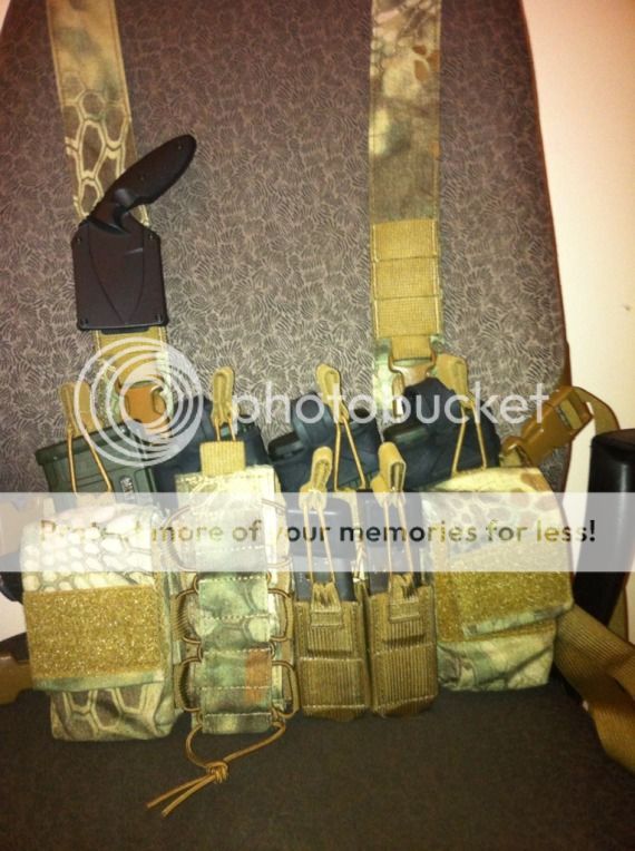Haley D3 chest rig > Tactical Gear > AR15.COM