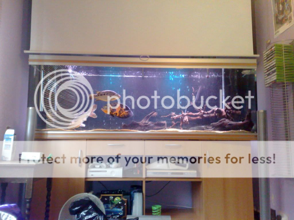 Rena 600 6ft Tank And Lots Of Bits And Bobs For Sale | Fish Forum